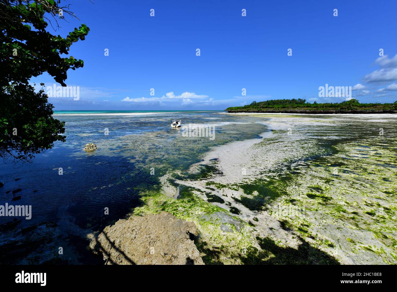 Pingwe Beach in Zanzibar Stock Photo - Alamy