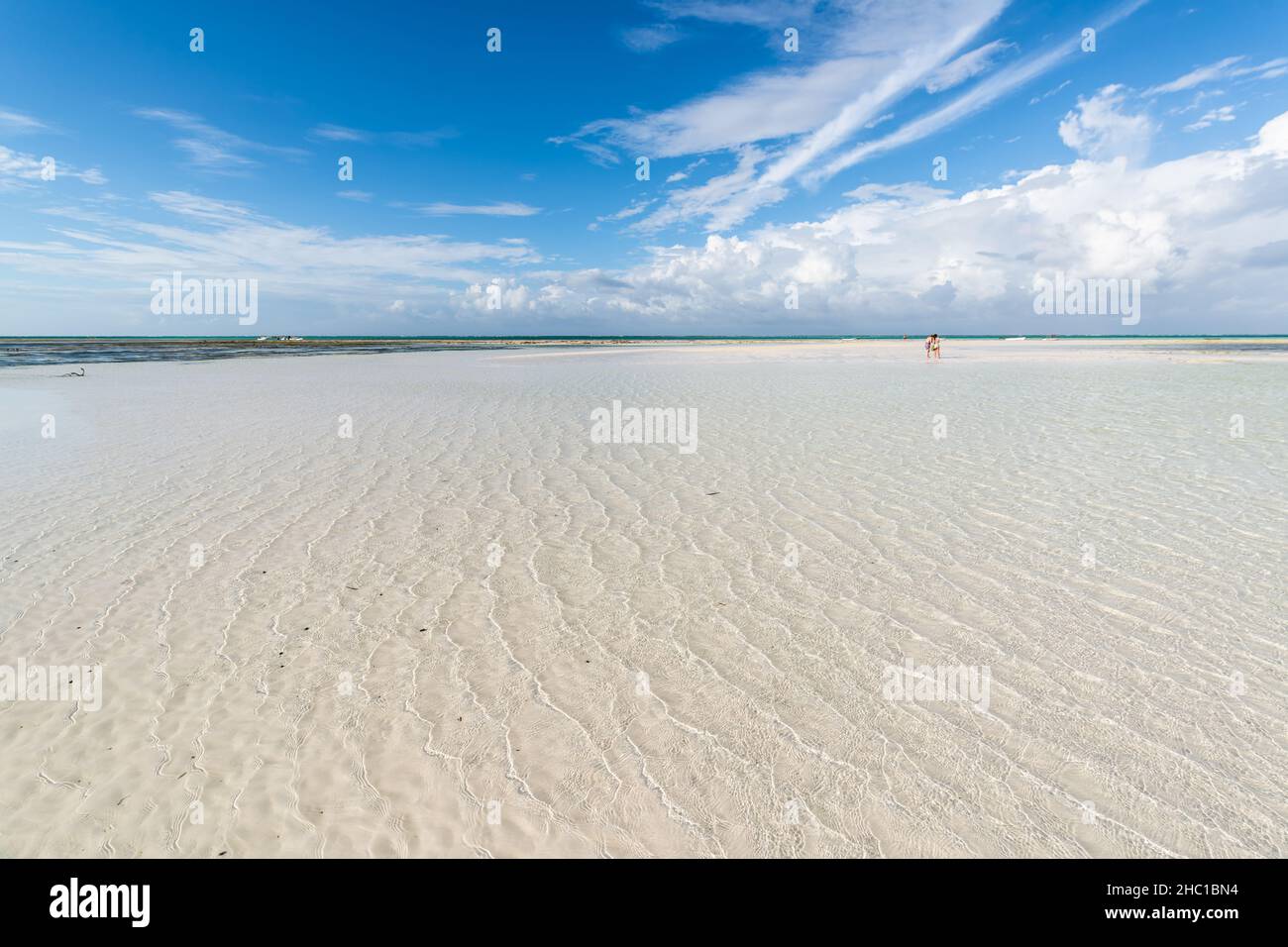 Turquoise waters and white sand of Muyuni Beach in Zanzibar Stock Photo ...