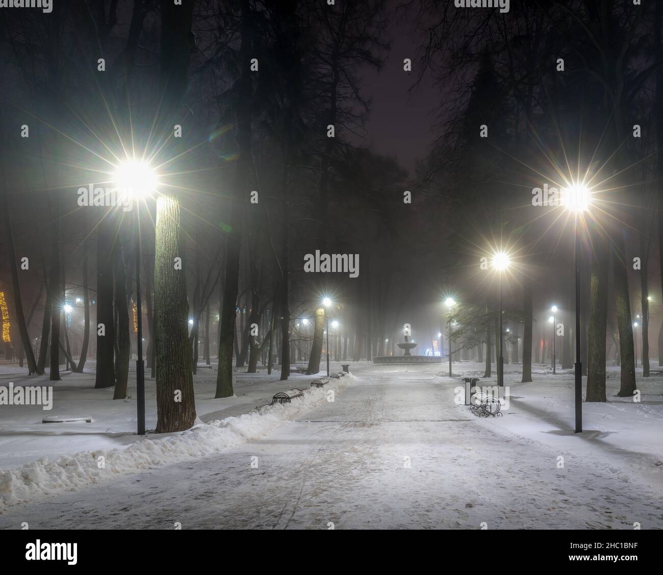 First snow in a winter night park with trees, glowing lanterns and ...