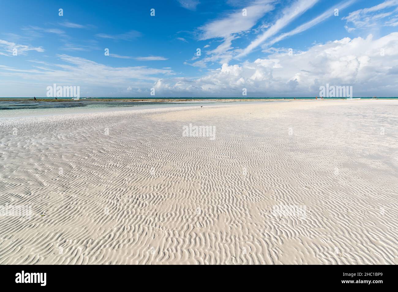 Pingwe Beach in Zanzibar Stock Photo - Alamy