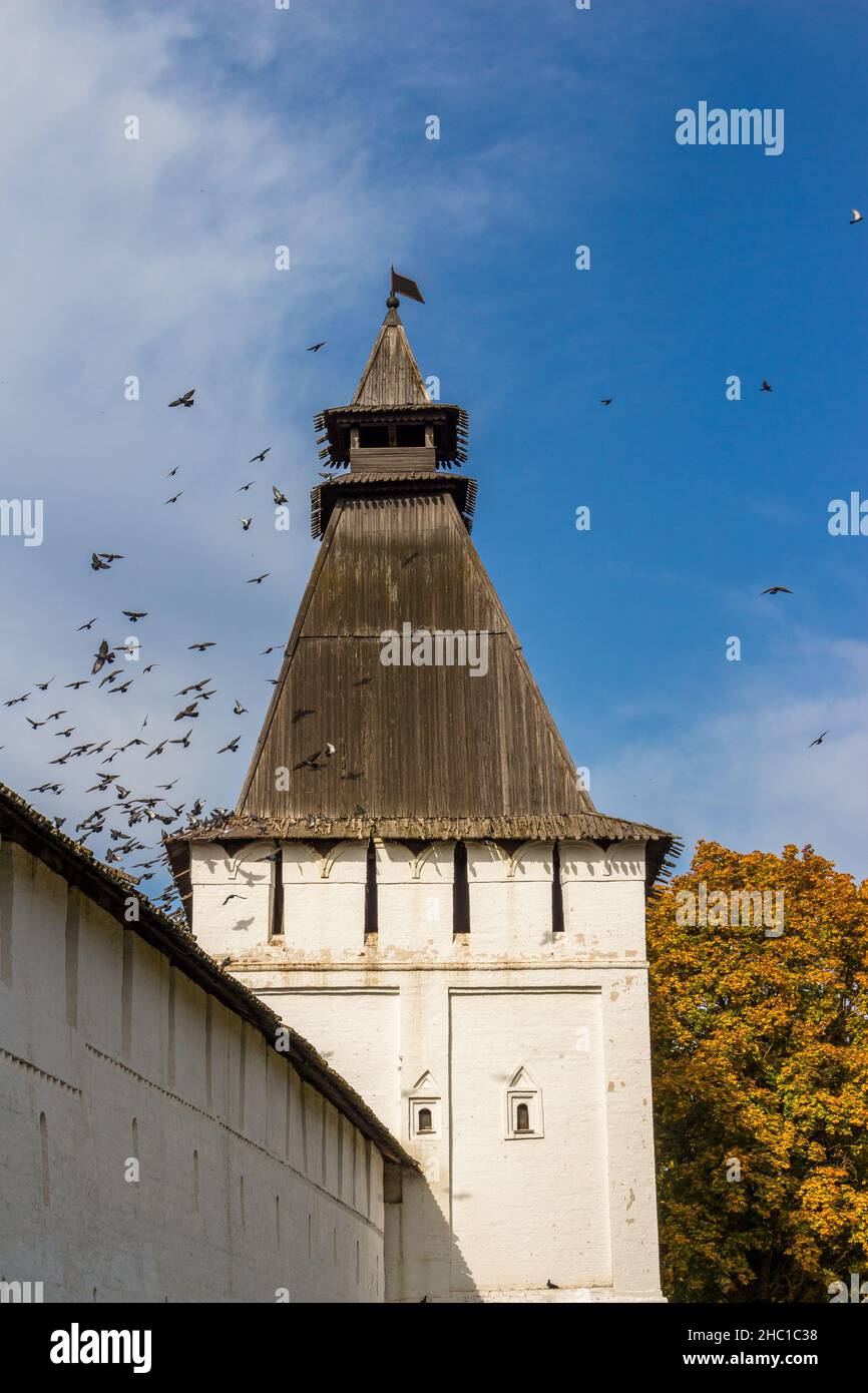The tower of the Borovsky Monastery and a flying flock of pigeons ...