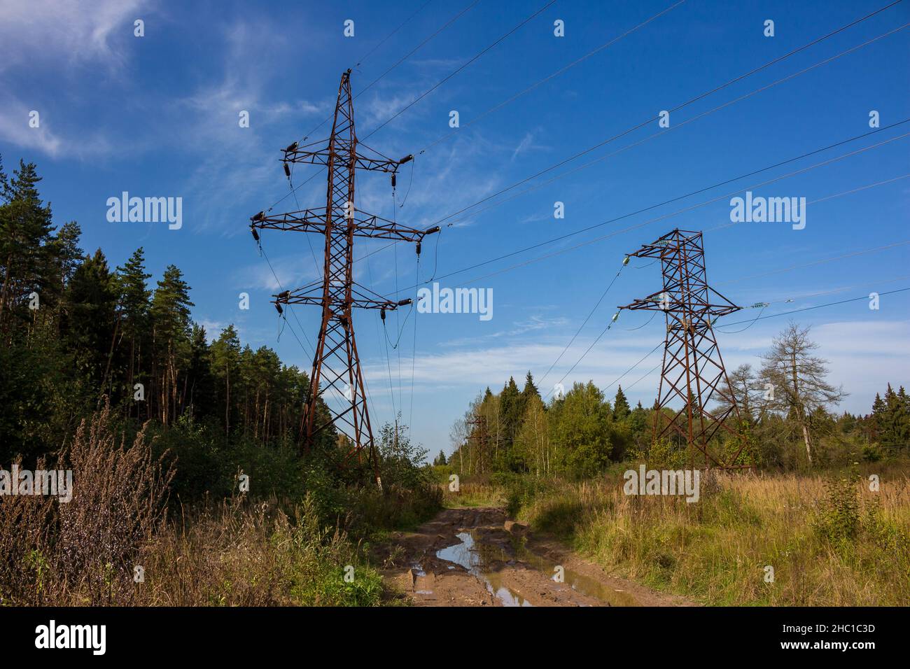 Transmission lines through the forest hi-res stock photography and ...