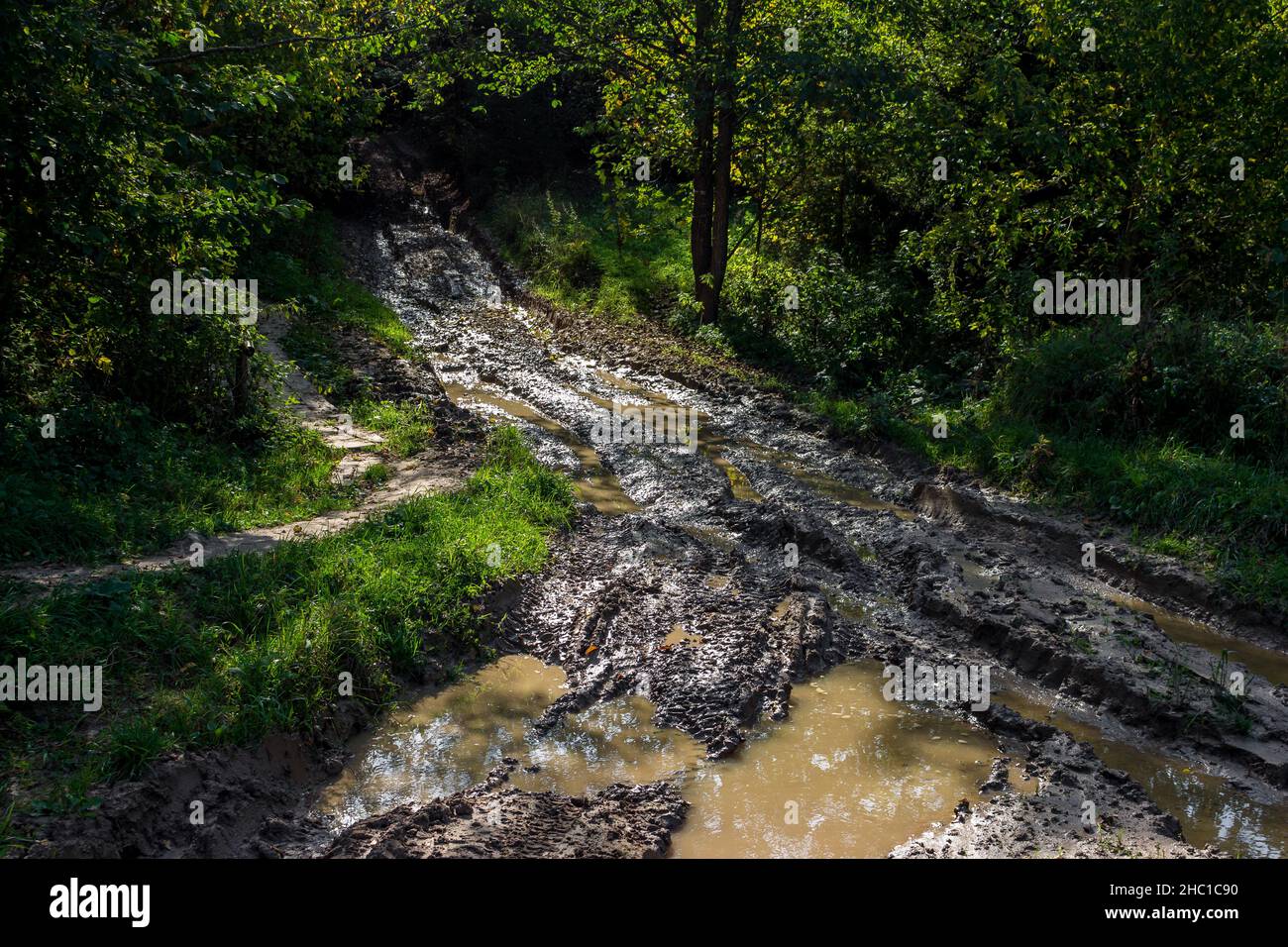 Terrible forest road full of mud after off-road ride Stock Photo - Alamy
