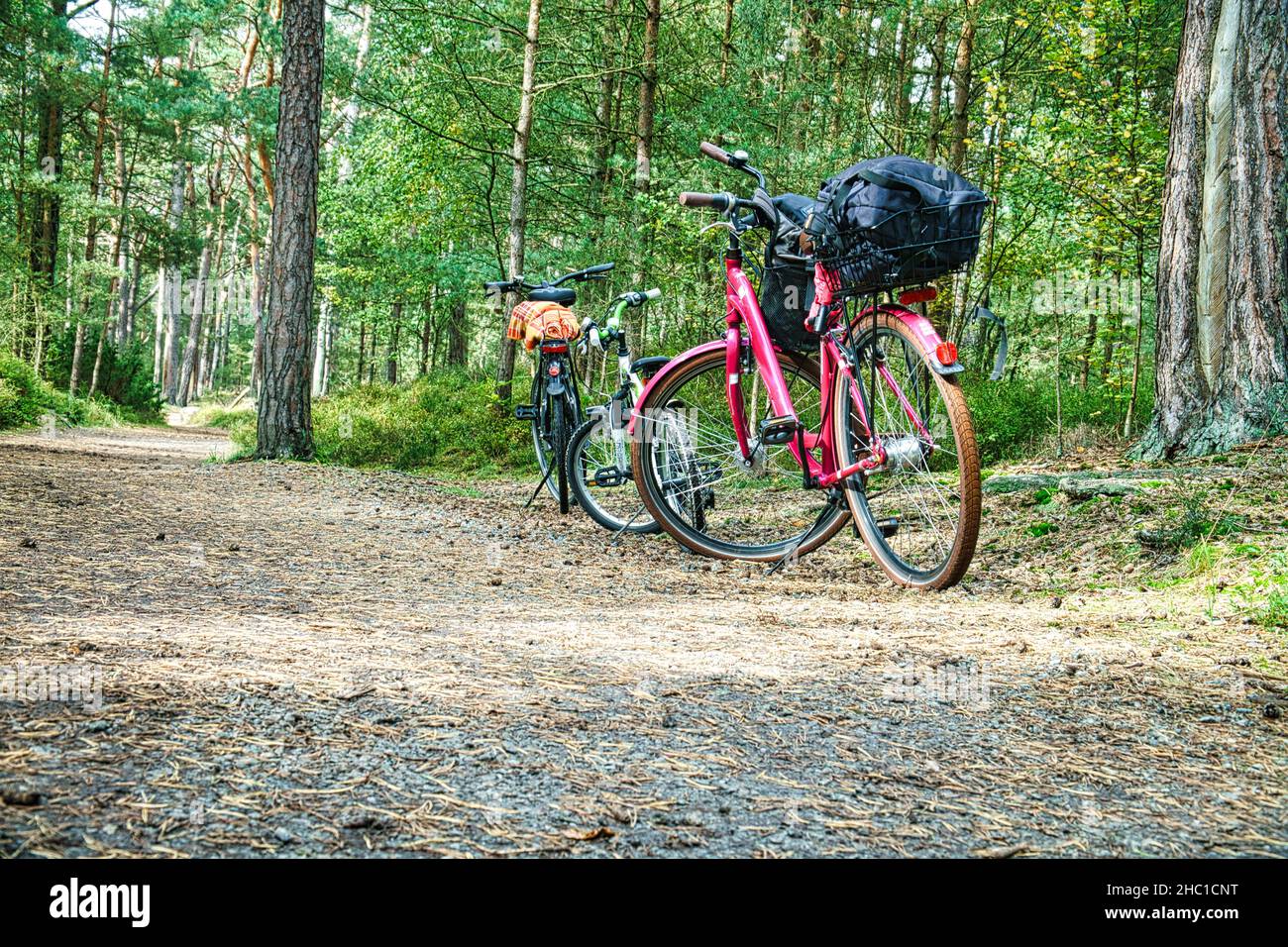 bike tour through the forest on the Darss. Break and parked bike ...