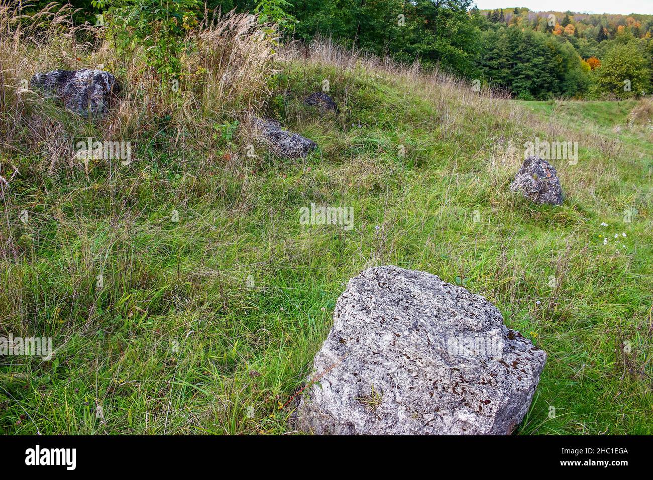 Stone limestone boulders in the middle of a green field Stock Photo - Alamy