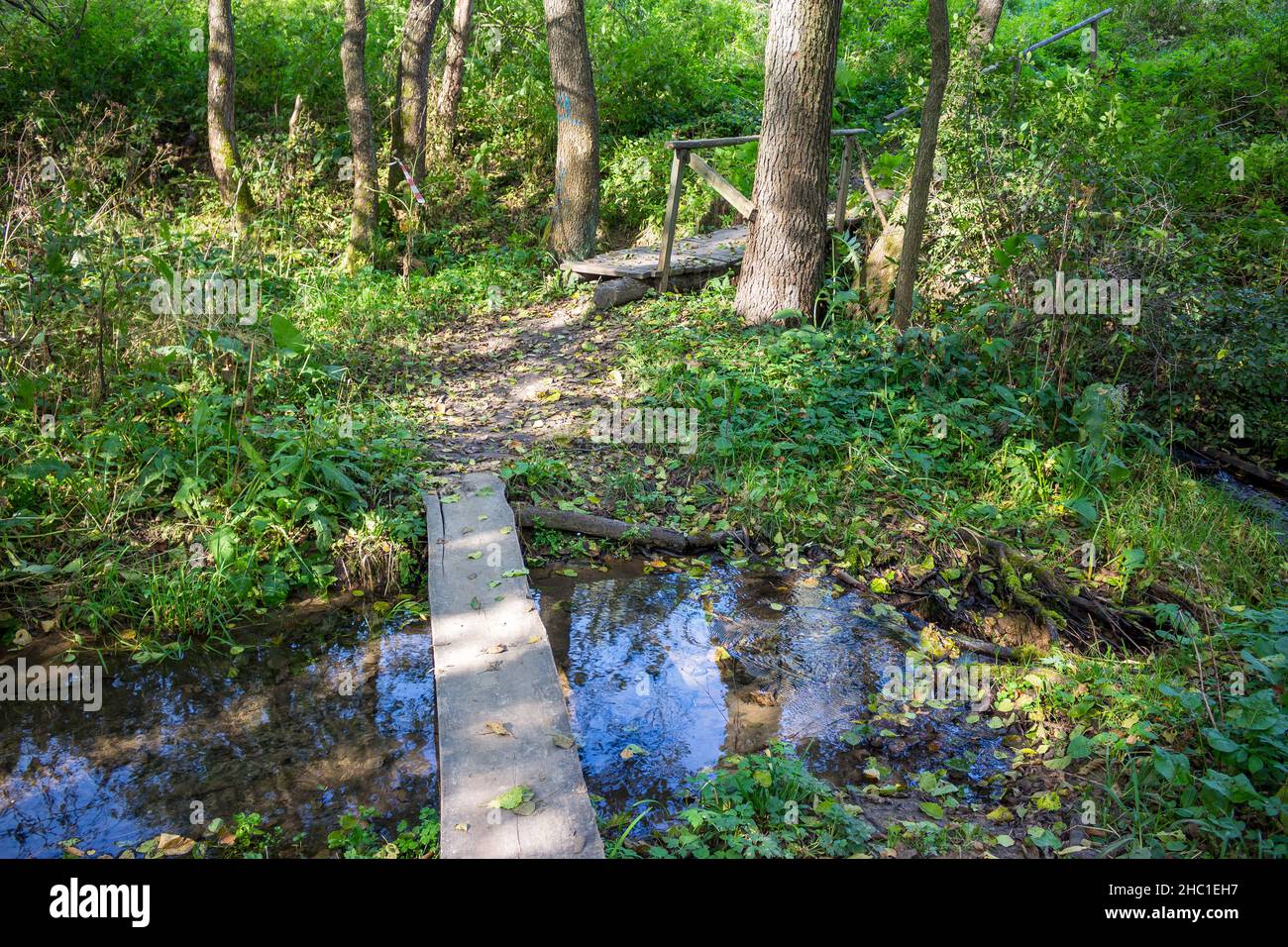 One plank bridge across the stream Stock Photo - Alamy