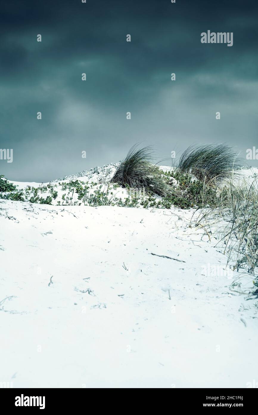Sandy grass land hi-res stock photography and images - Alamy