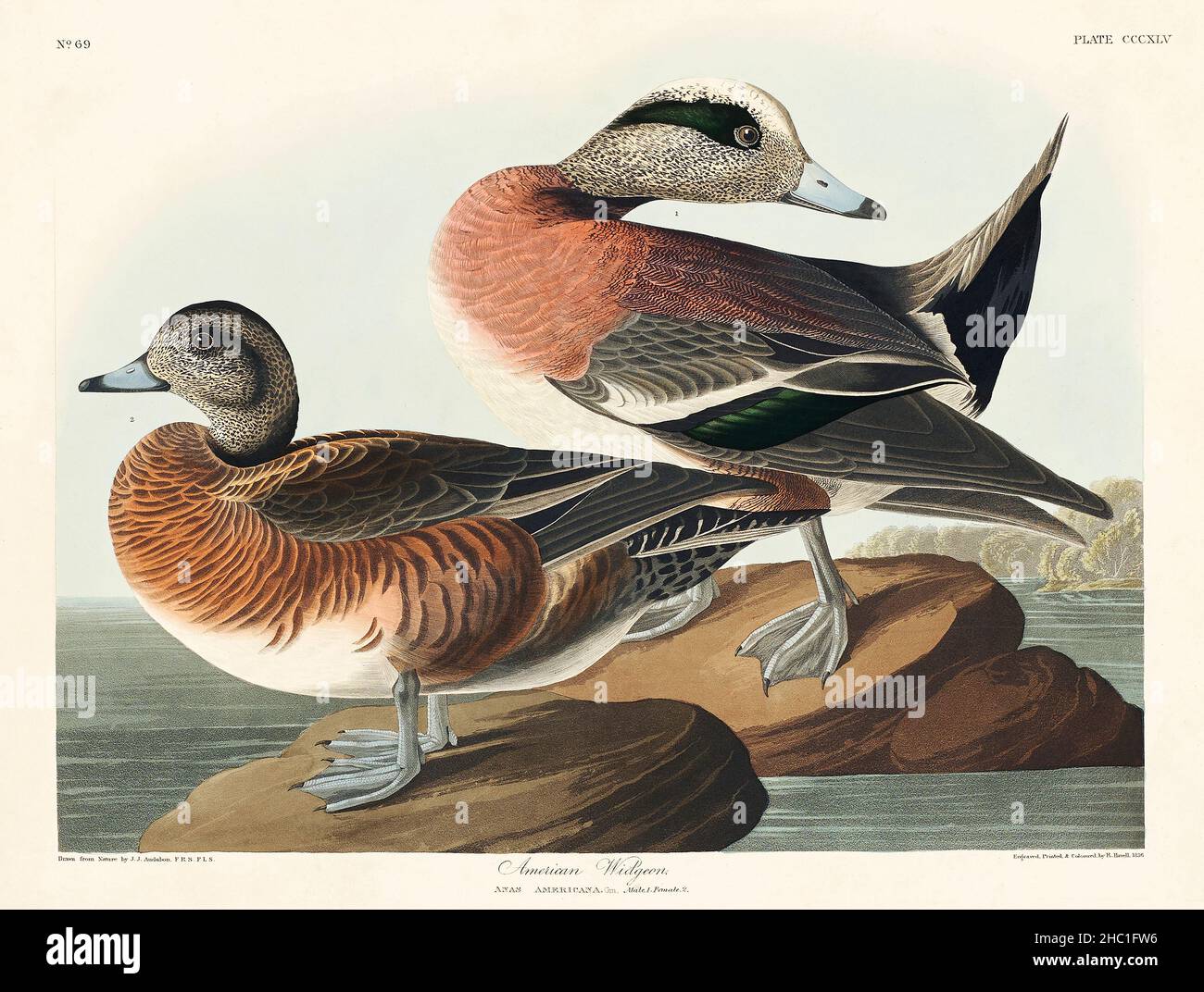 John lizars hi-res stock photography and images - Alamy