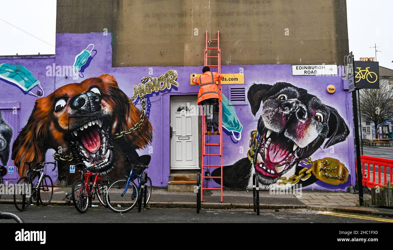 Brighton dogs mural hi-res stock photography and images - Alamy
