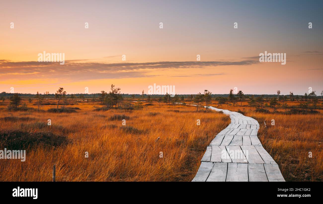 4K 5K Miory District, Vitebsk Region, Belarus. Yelnya Swamp Nature ...