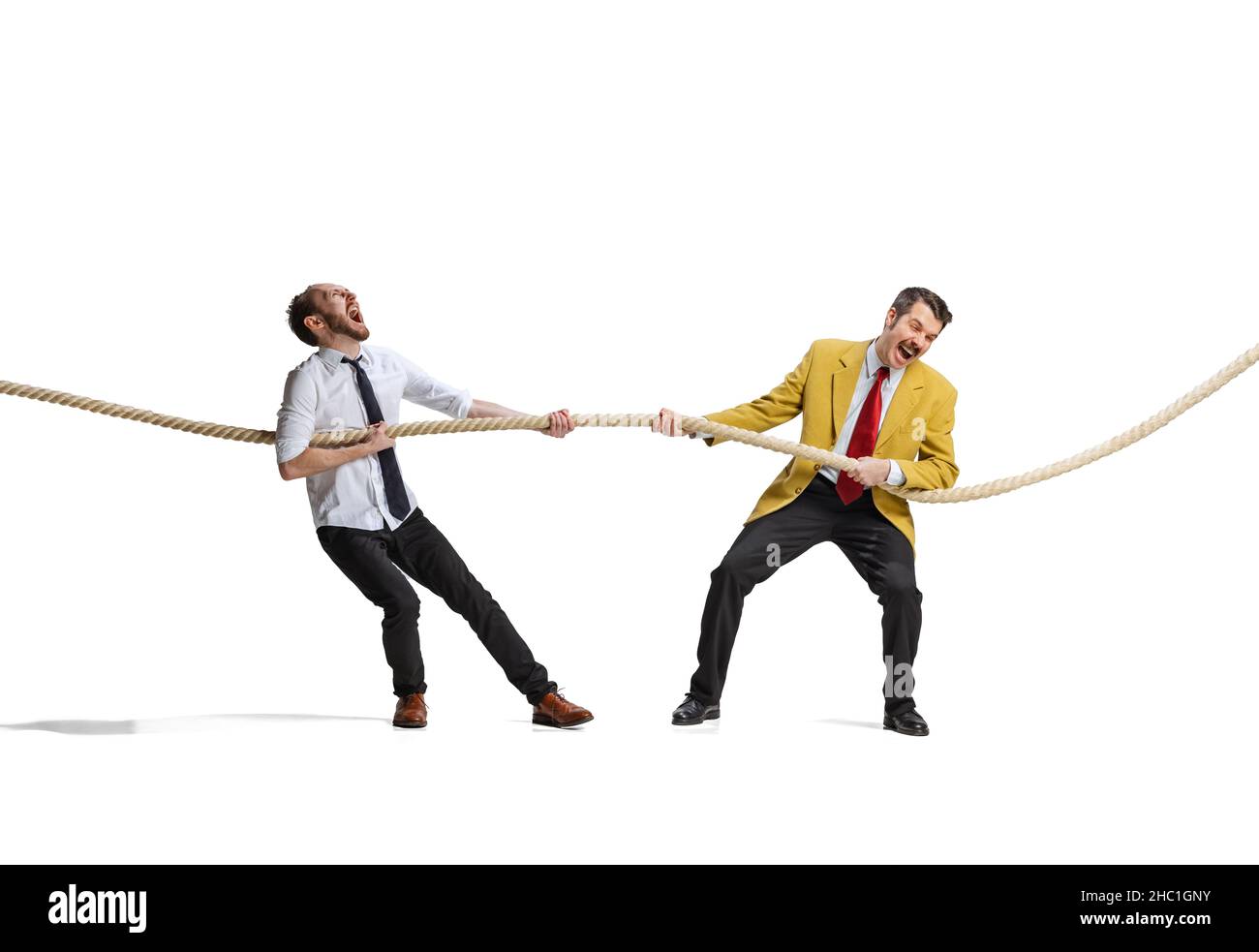 Full-length portrait of two motivated and concentrated employees doing ...