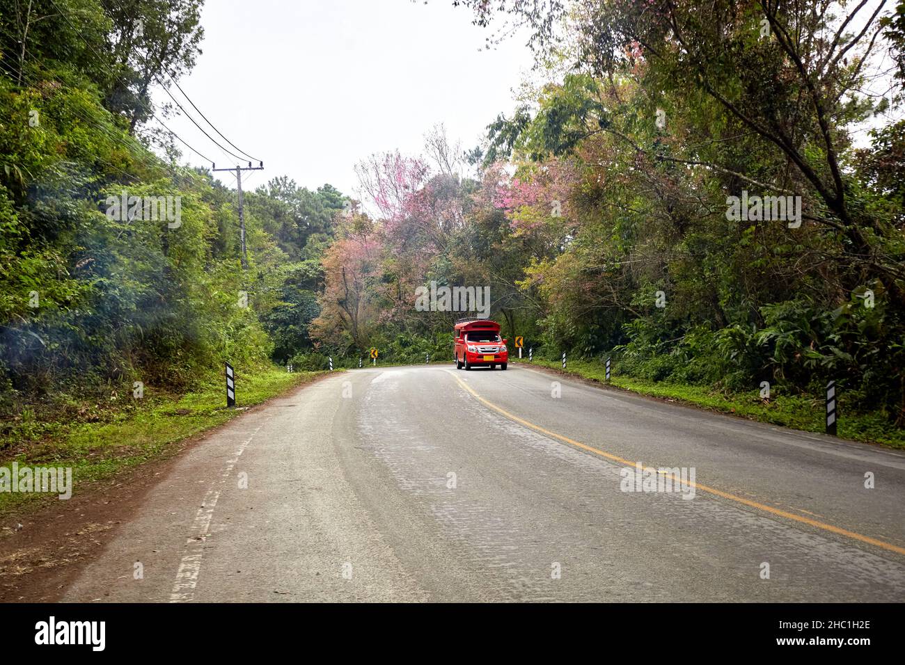 Driving on the asphalt road in the forest Stock Photo - Alamy