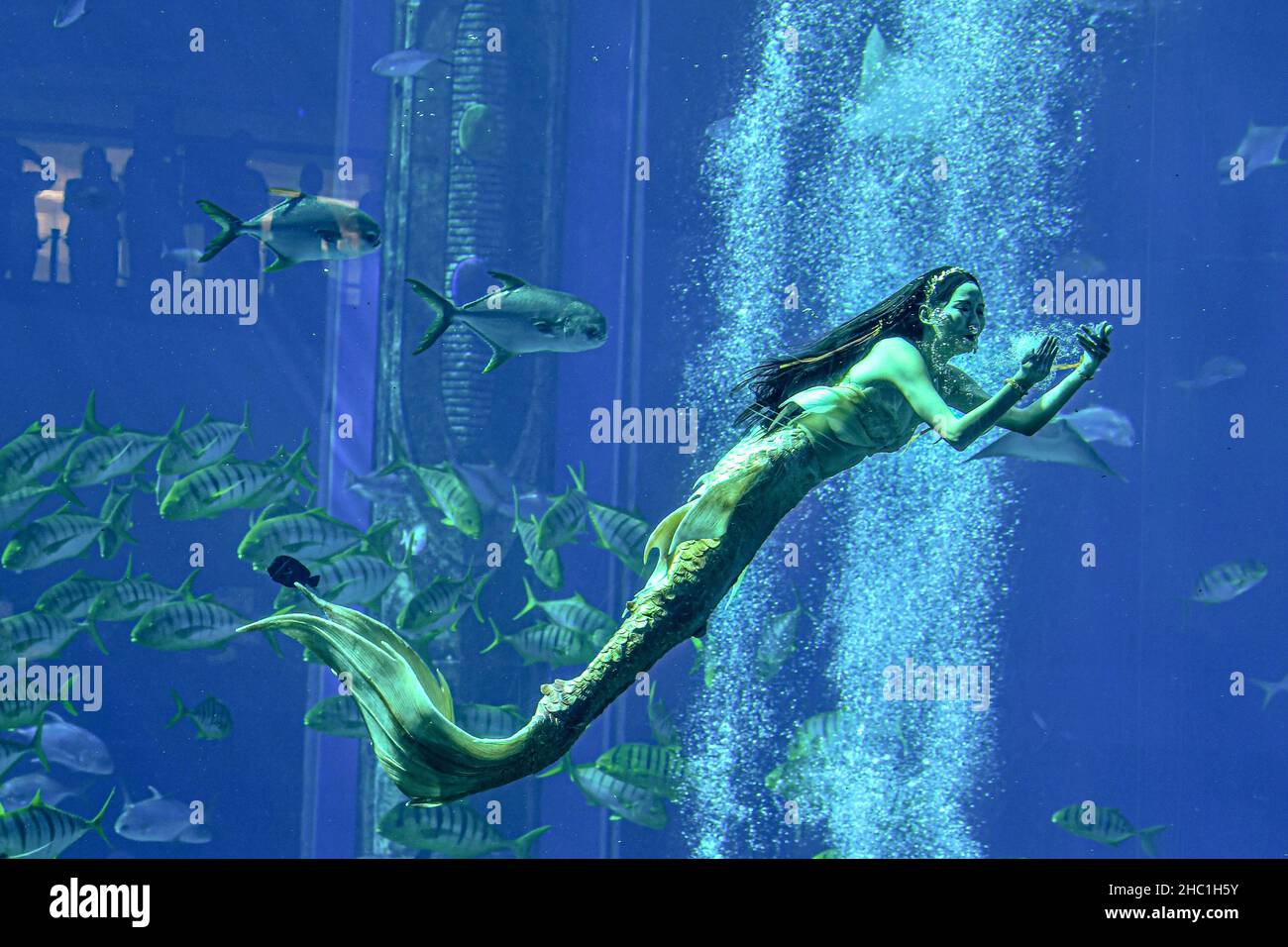 Sanya, China's Hainan Province. 22nd Dec, 2021. A contestant ...