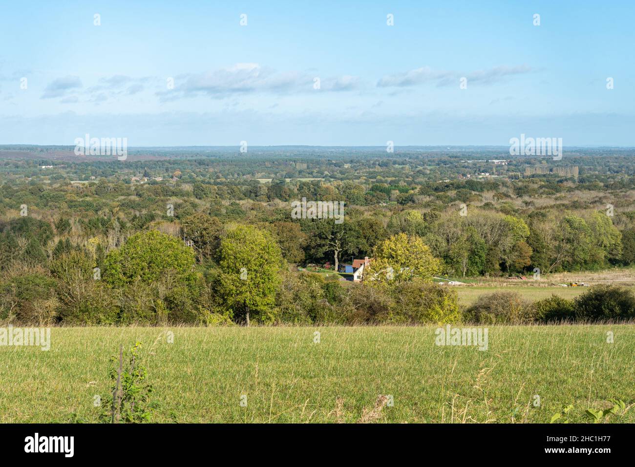 Back view back hi-res stock photography and images - Alamy