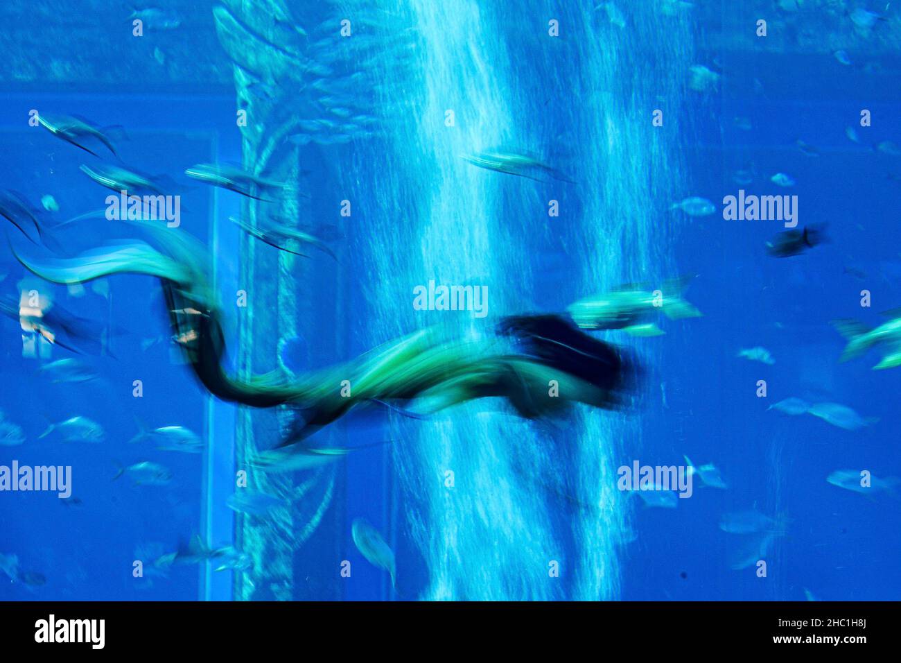 Sanya, China's Hainan Province. 22nd Dec, 2021. A contestant ...