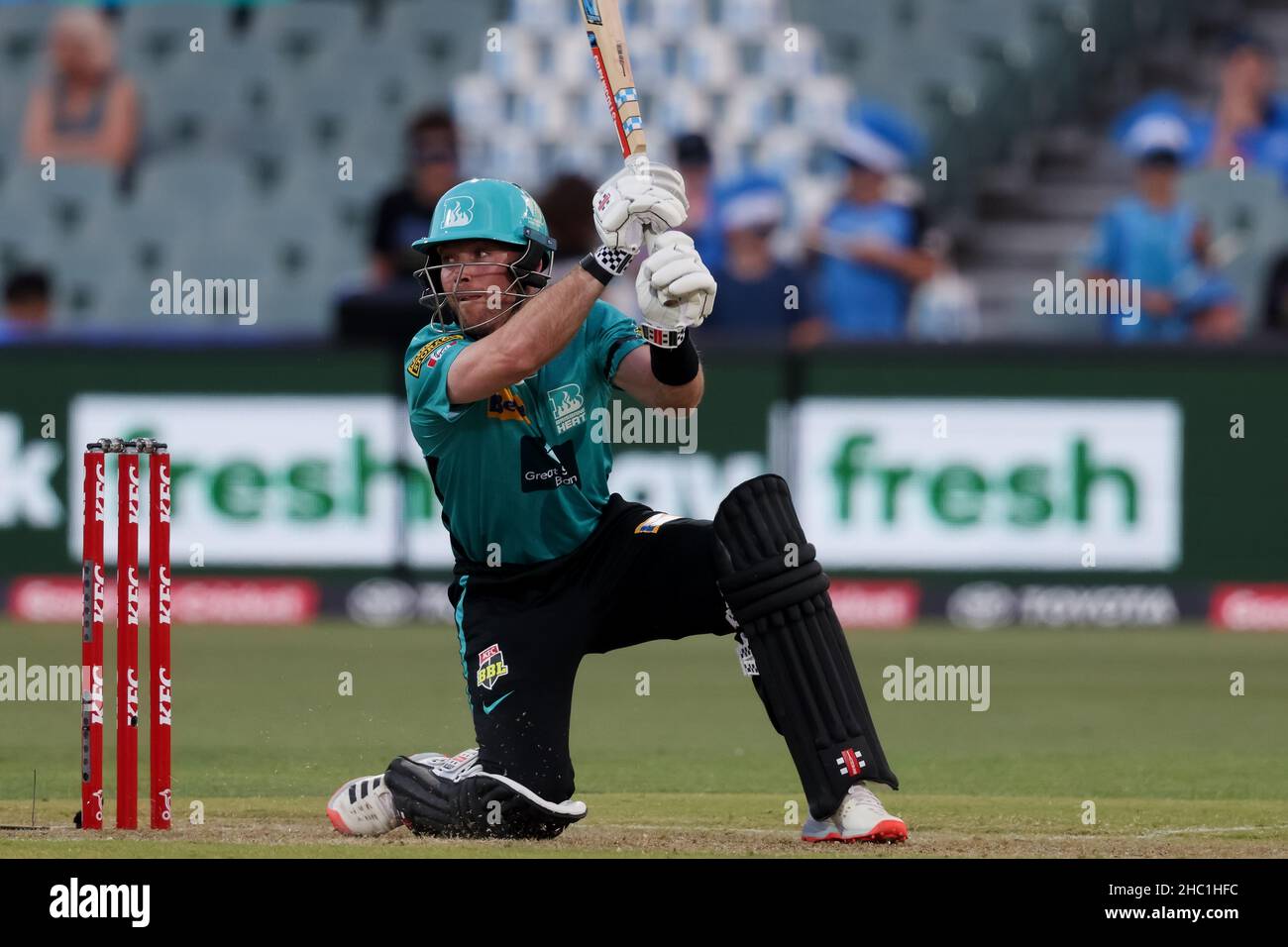 Jimmy the cricket hi-res stock photography and images - Alamy