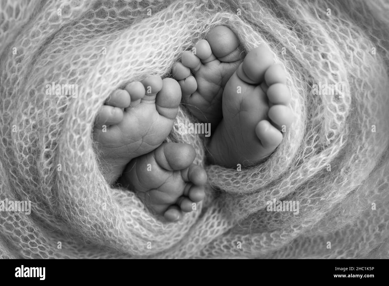 Feet of newborn twins. Two pairs of baby feet in a knitted blanket ...