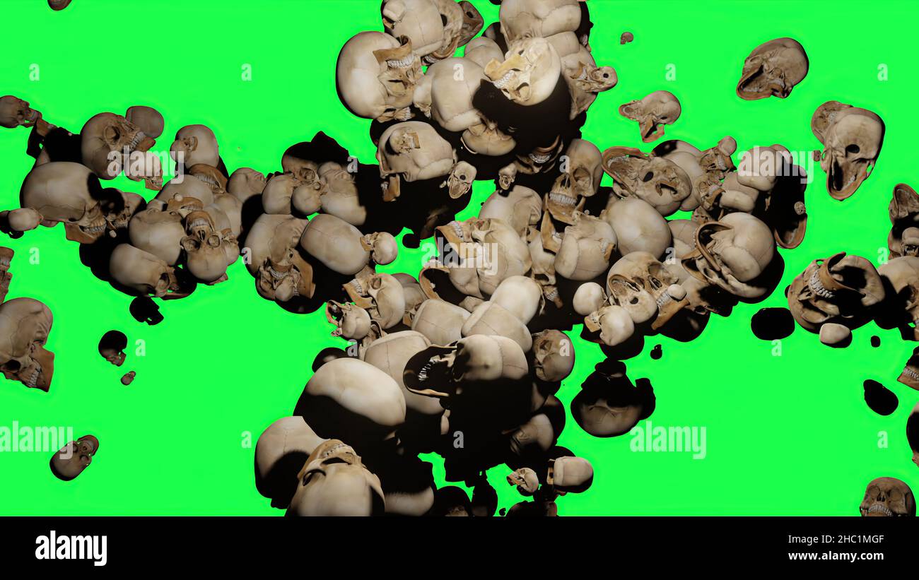 3d illustration - Human skulls flying on green background Stock Photo ...