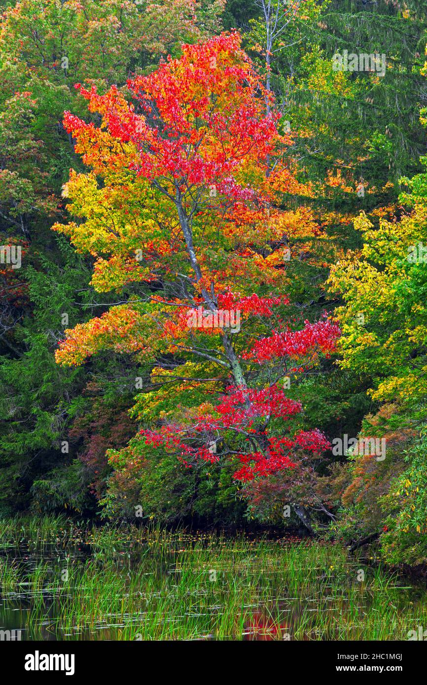 Promised Land Lake in Autumn at Promised Land State Park in ...