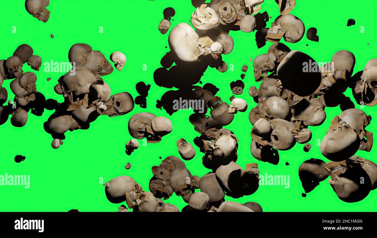 3d illustration - Human skulls flying on green background Stock Photo ...