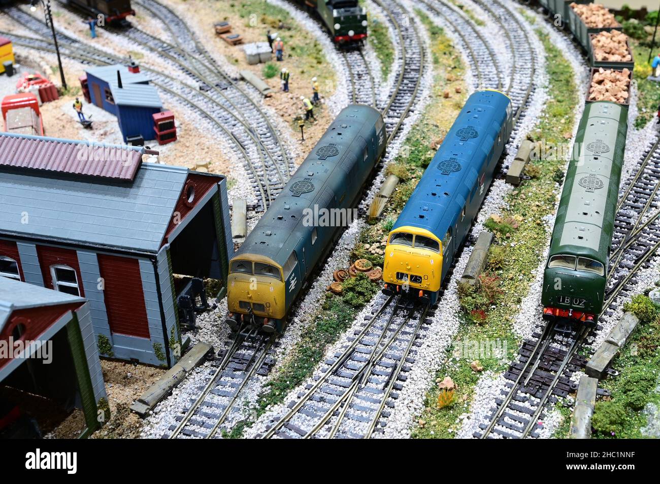 Warship diesel locomotives on a model railway Stock Photo - Alamy