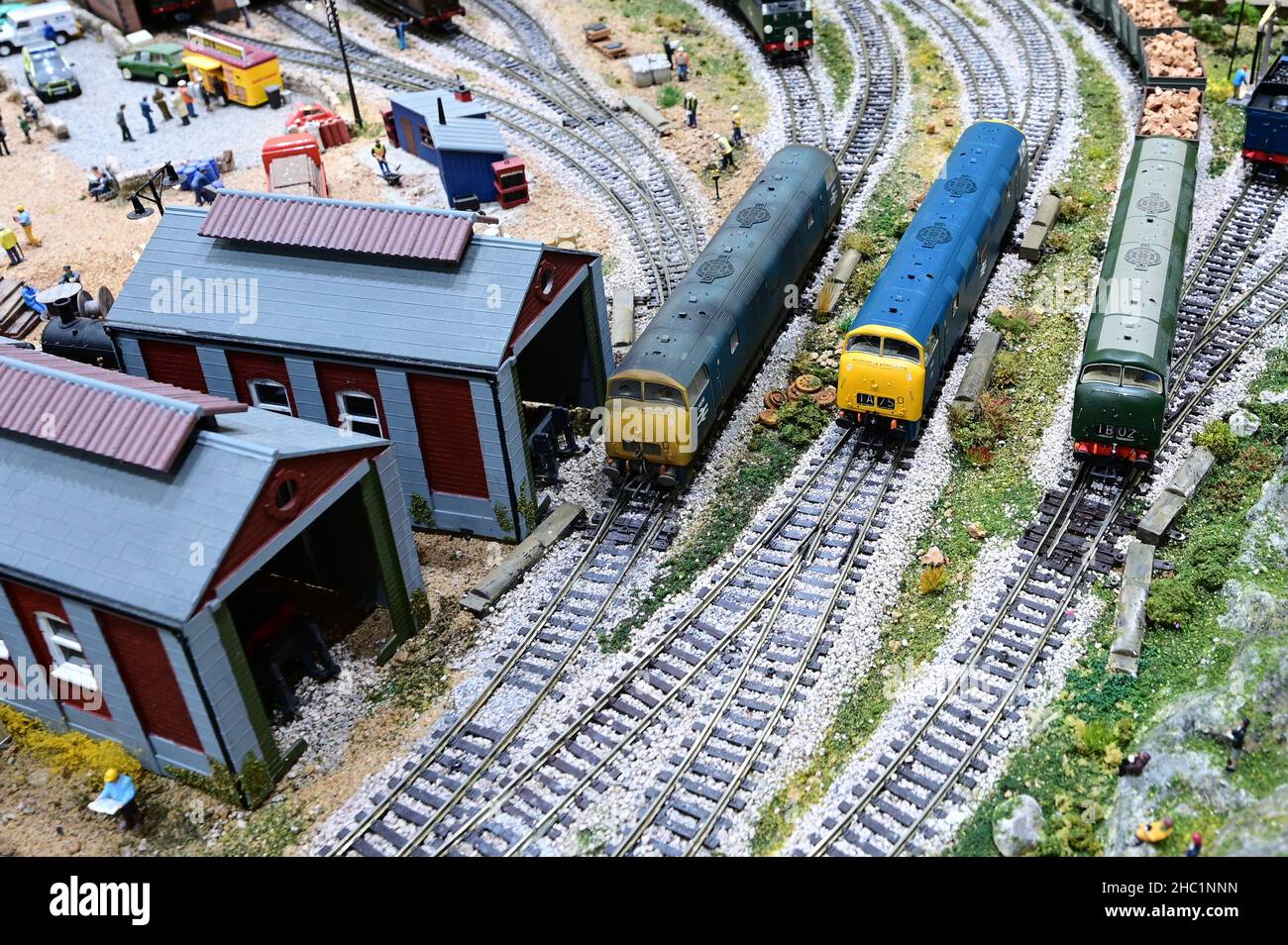 Warship diesel locomotives on a model railway Stock Photo - Alamy