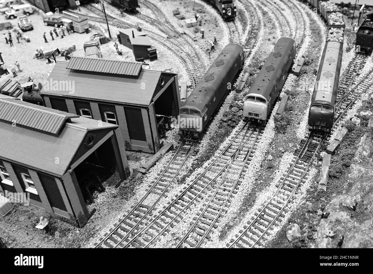 Warship diesel locomotives on a model railway Stock Photo - Alamy