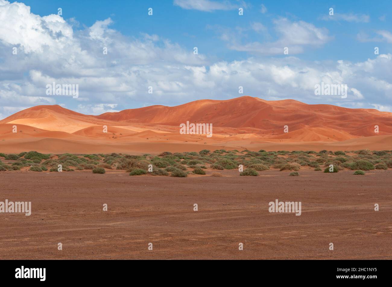 Dunes after a rain in the Sahara desert Stock Photo - Alamy