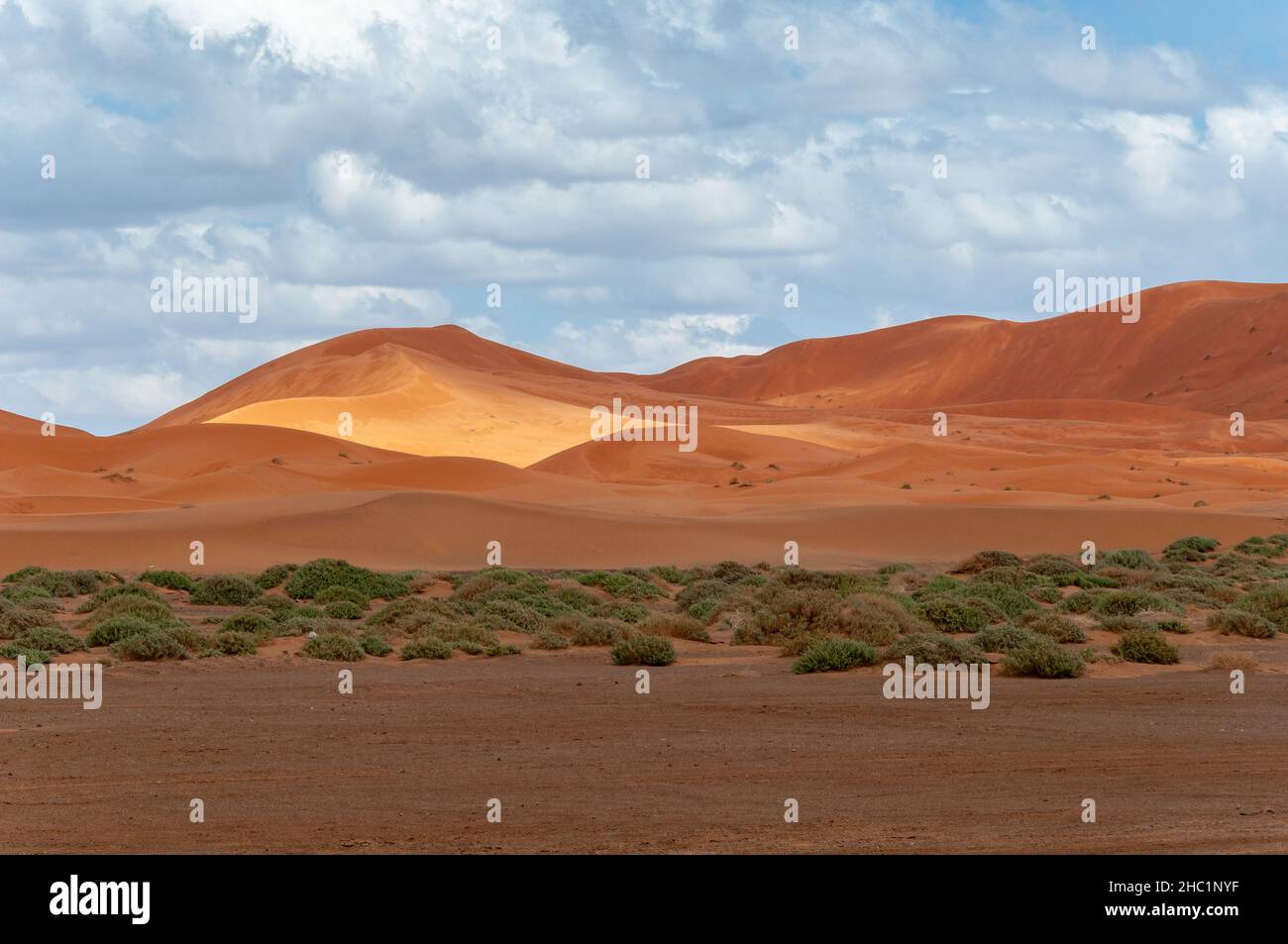 Dunes after a rain in the Sahara desert Stock Photo - Alamy