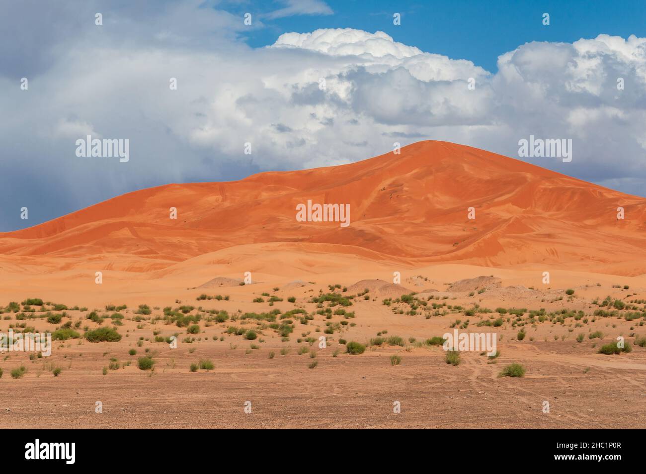 Dunes after a rain in the Sahara desert Stock Photo - Alamy
