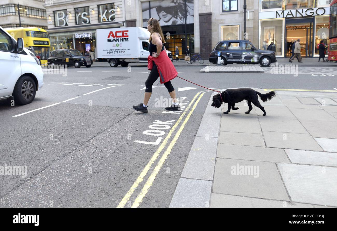 Walking dog in oxford hi-res stock photography and images - Alamy