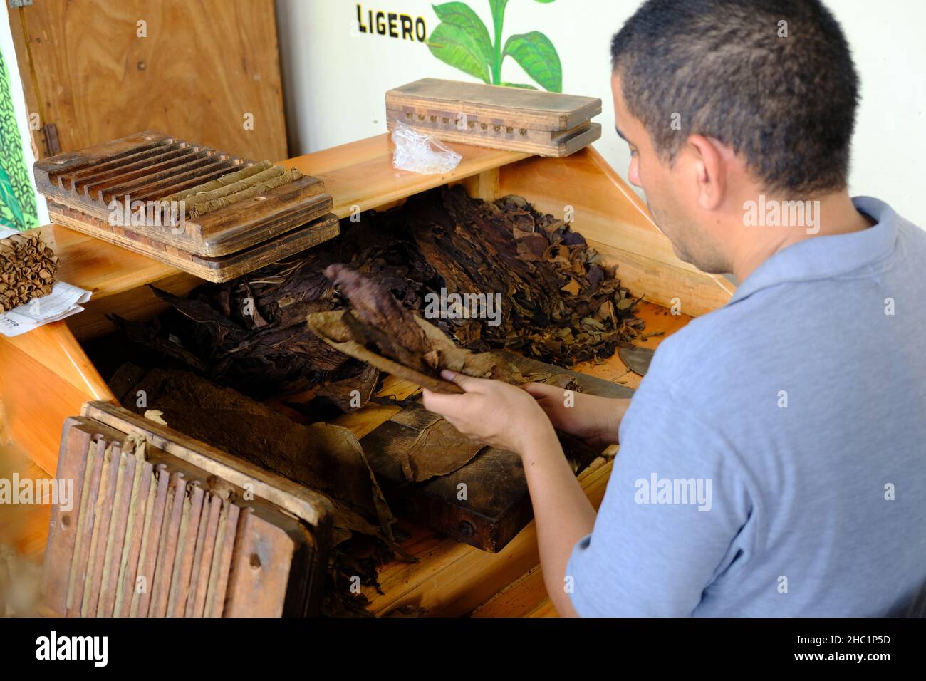 Nicaragua Granada - Cigar factory - handmade rolled cigars Stock Photo ...