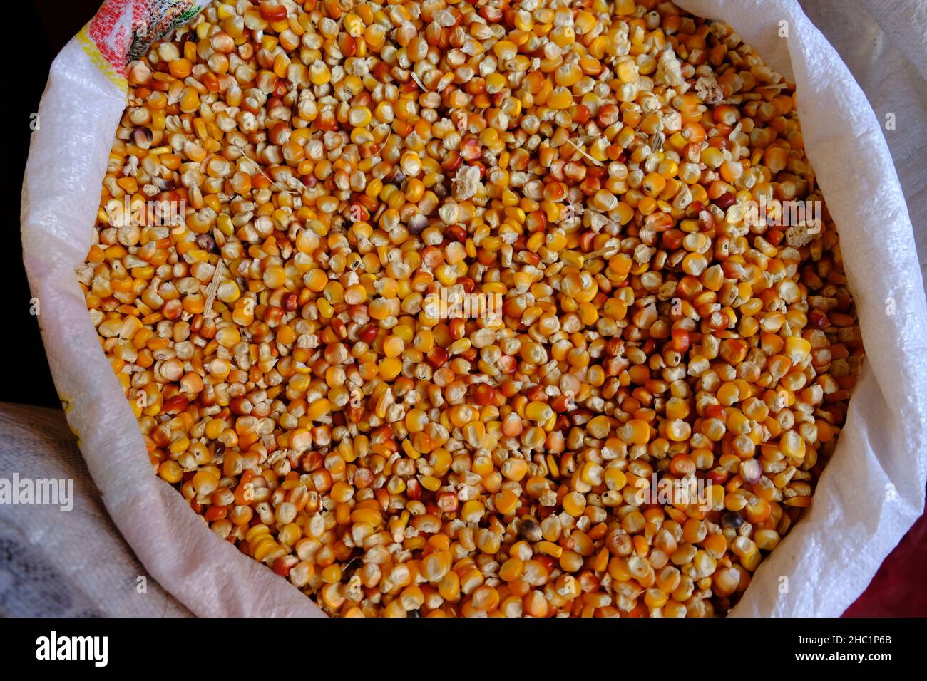 Nicaragua Granada - Corn in Cotton sack Stock Photo - Alamy