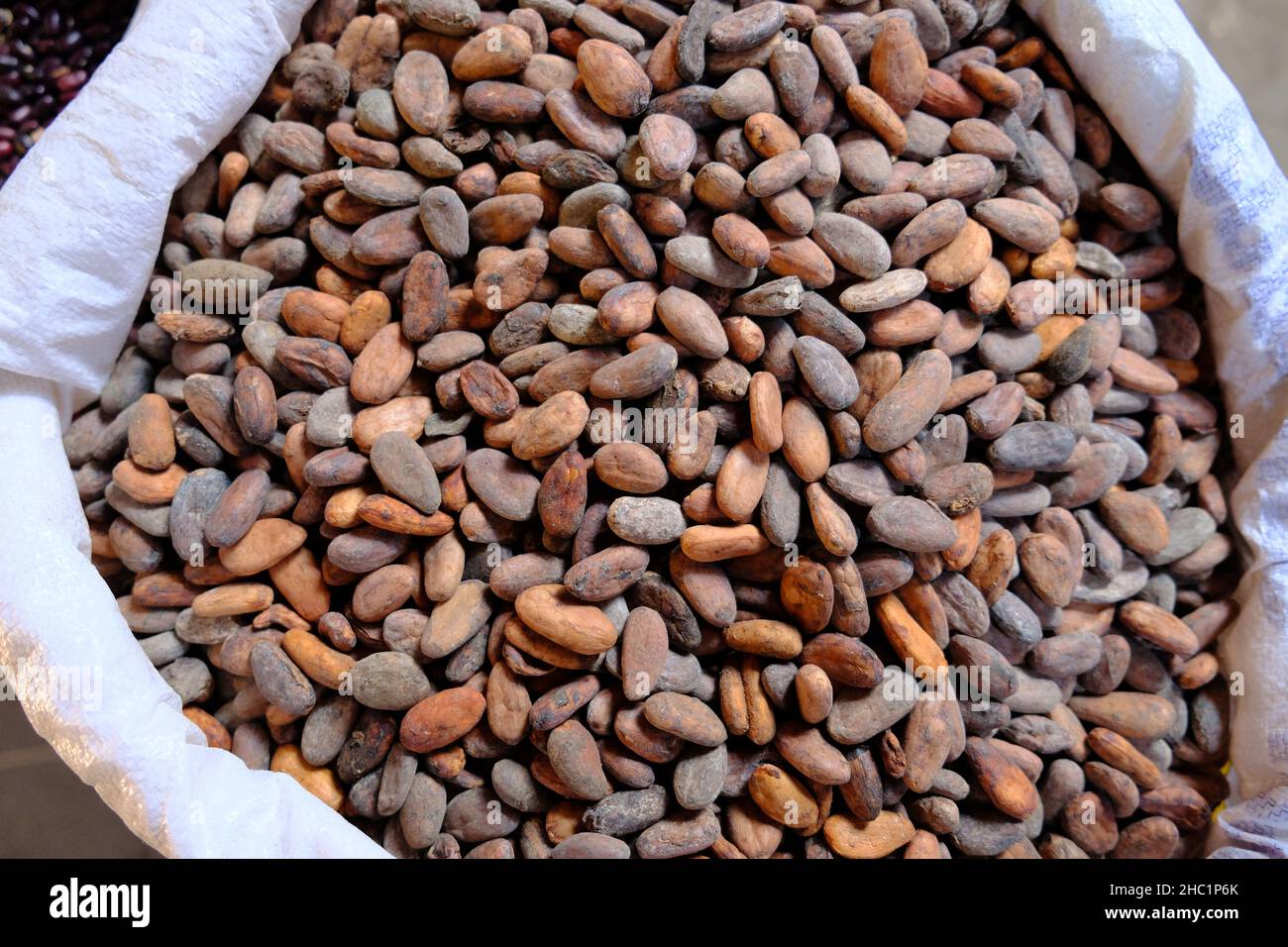 Cacao seed hi-res stock photography and images - Alamy