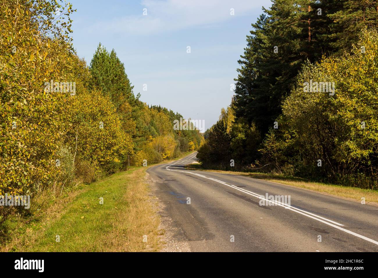 Beautiful turn on an empty road in a forest area Stock Photo - Alamy