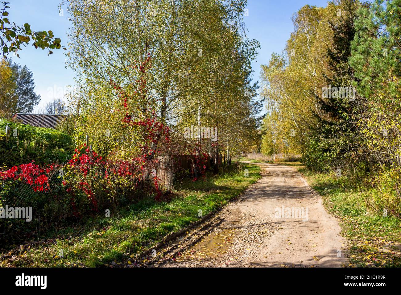 Simple view of rural street with fences and road Stock Photo - Alamy
