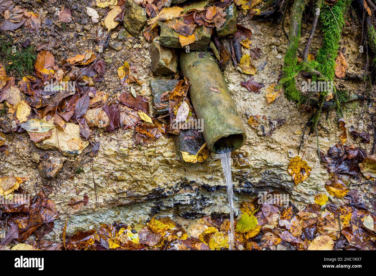 Spring gushing out of clay strata, spring water flowing out through a ...