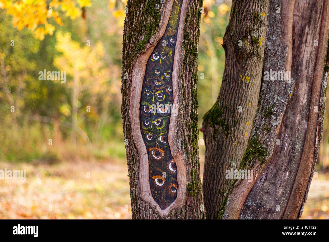 Tree with eyes. Painted owl eyes on a tree trunk Stock Photo - Alamy