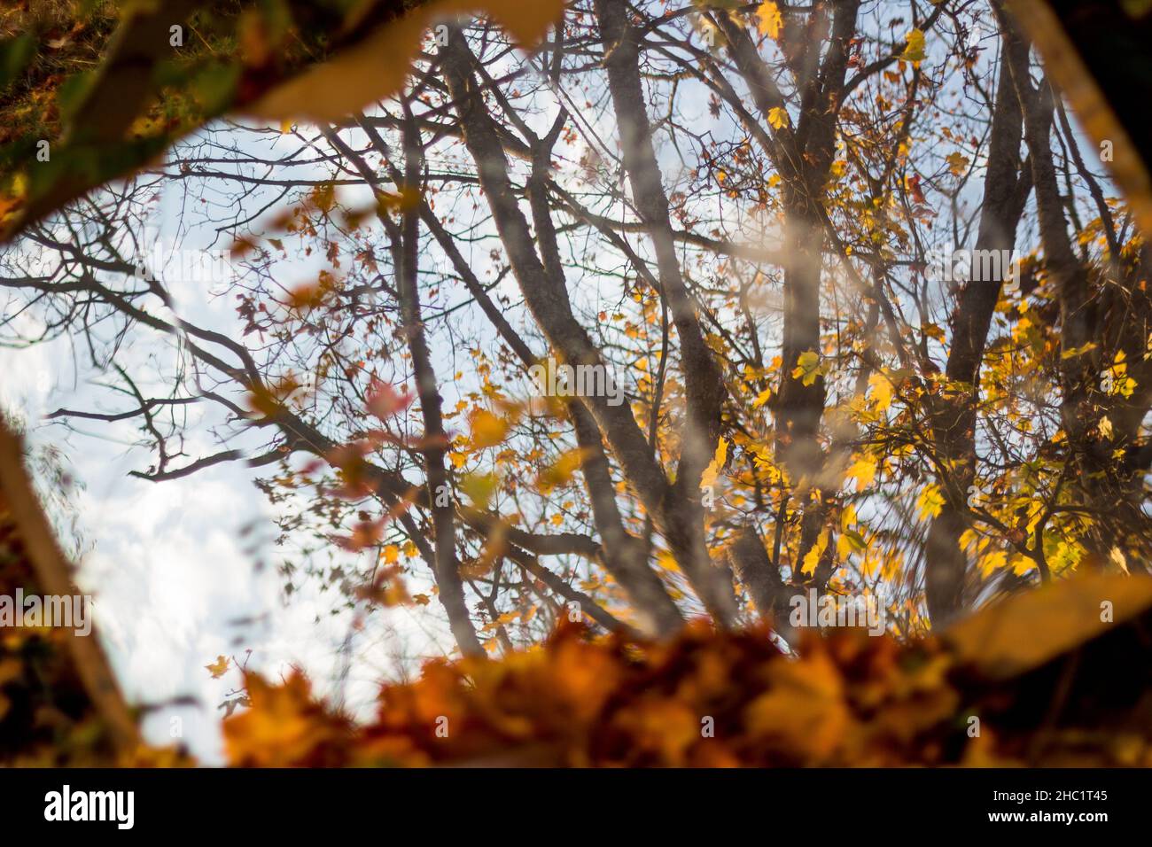 Distorted nature autumn hi-res stock photography and images - Alamy