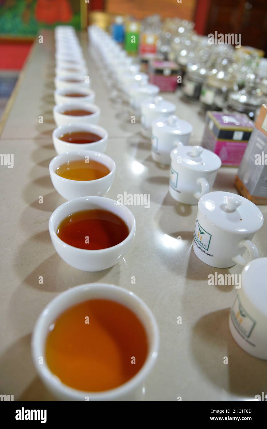 Handunugoda Tea Factory, a unos kilometros de Mirissa Stock Photo - Alamy