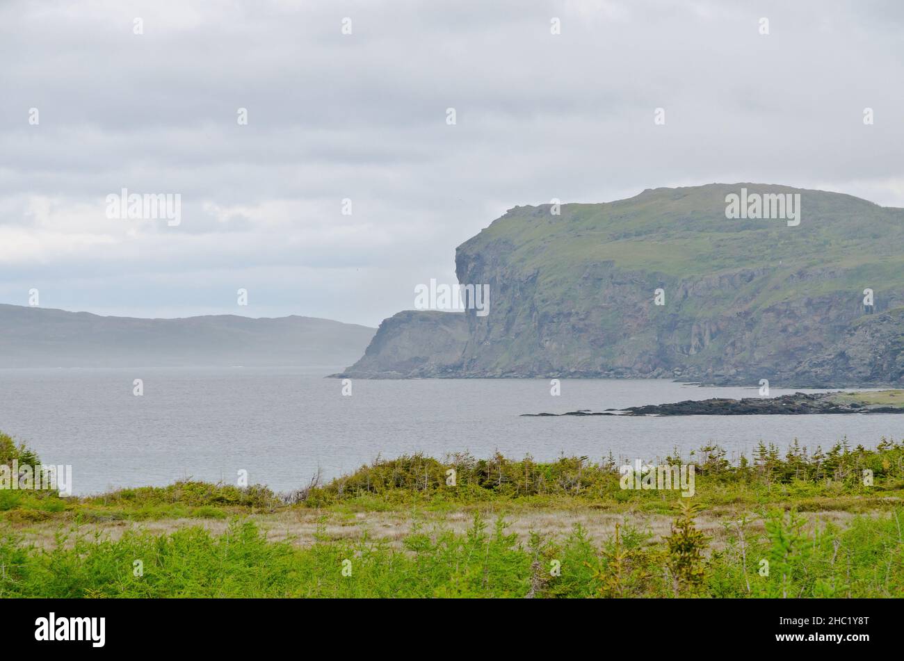 Newfoundland coast in summer time Stock Photo - Alamy
