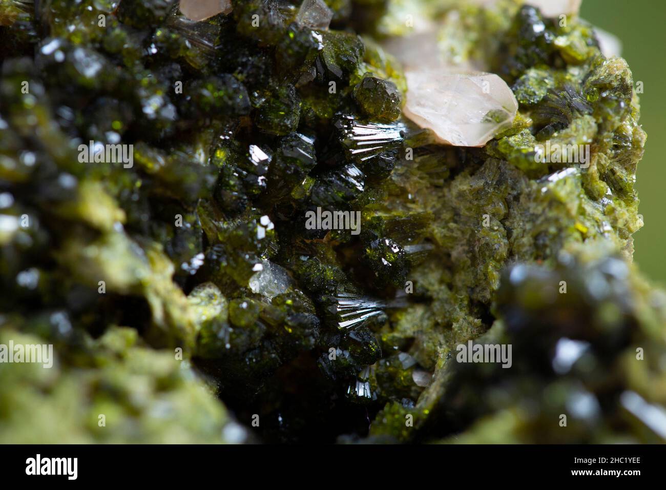 epidote, mineral specimen stone rock geology gem crystal Stock Photo ...