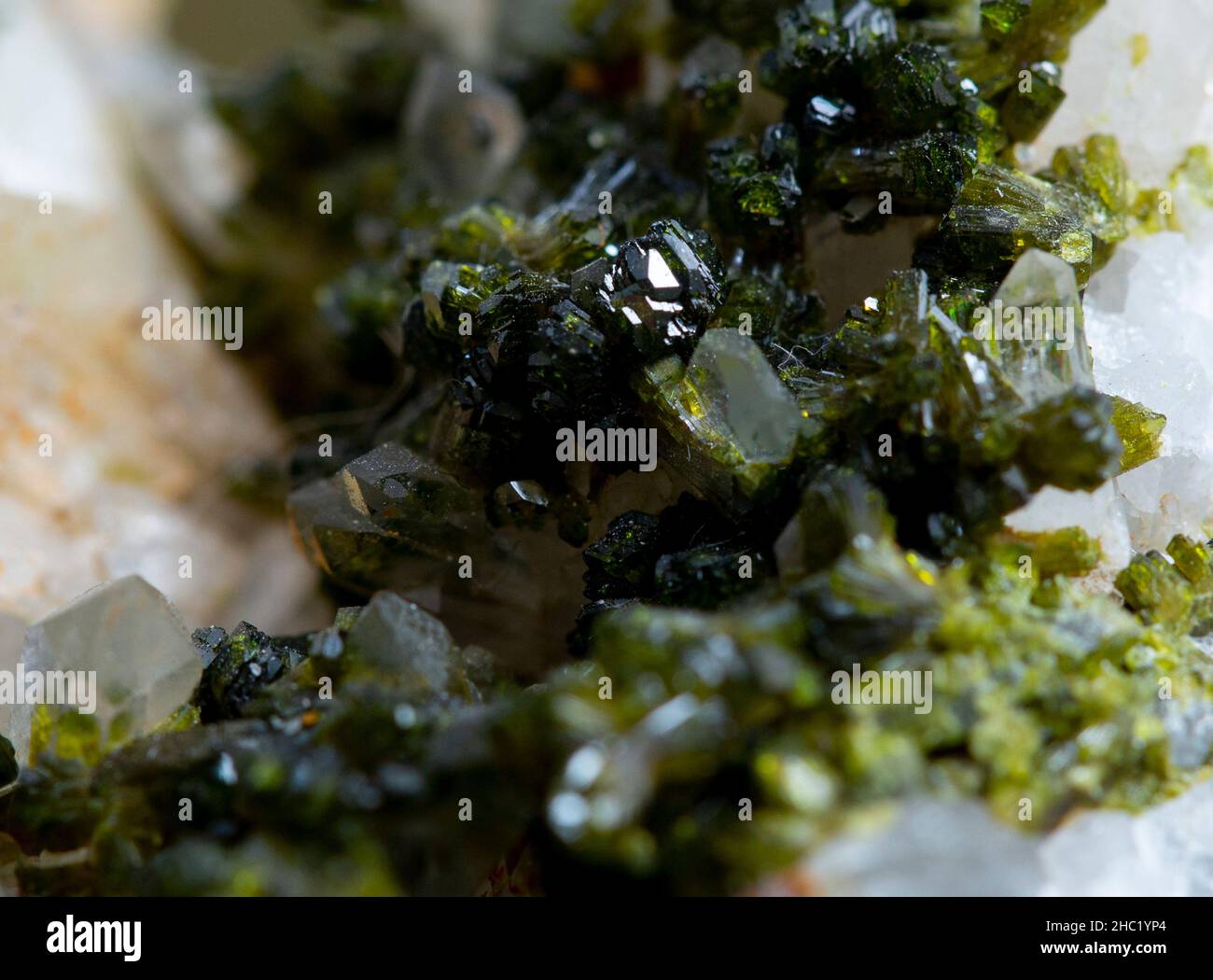 epidote, mineral specimen stone rock geology gem crystal Stock Photo ...