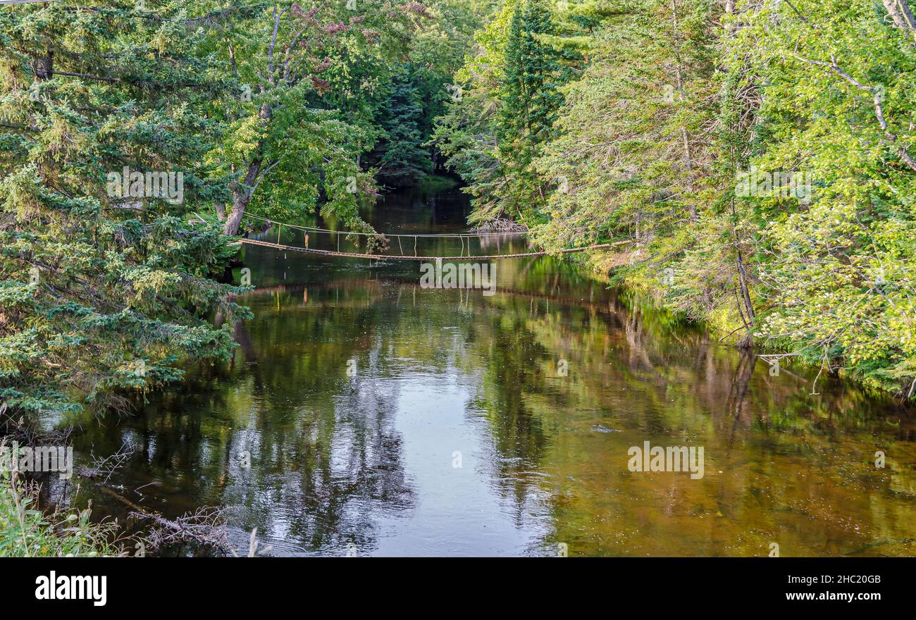 Trees around flat water in summer time Stock Photo - Alamy