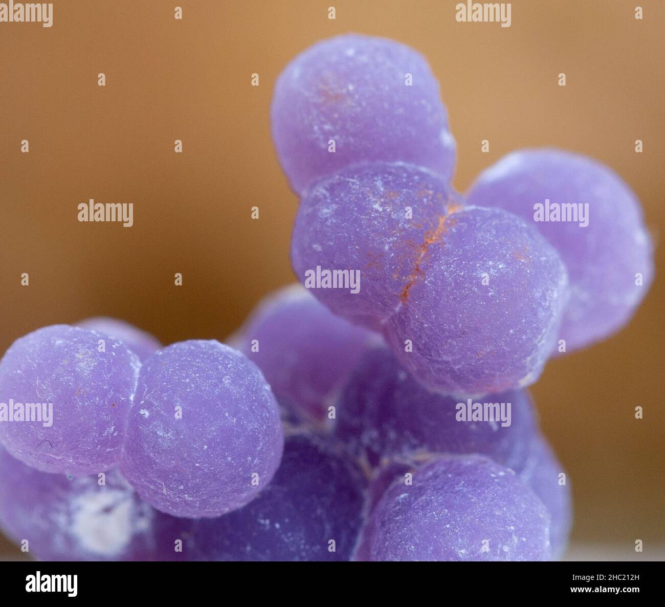 grape agate mineral specimen stone rock geology gem crystal Stock Photo ...