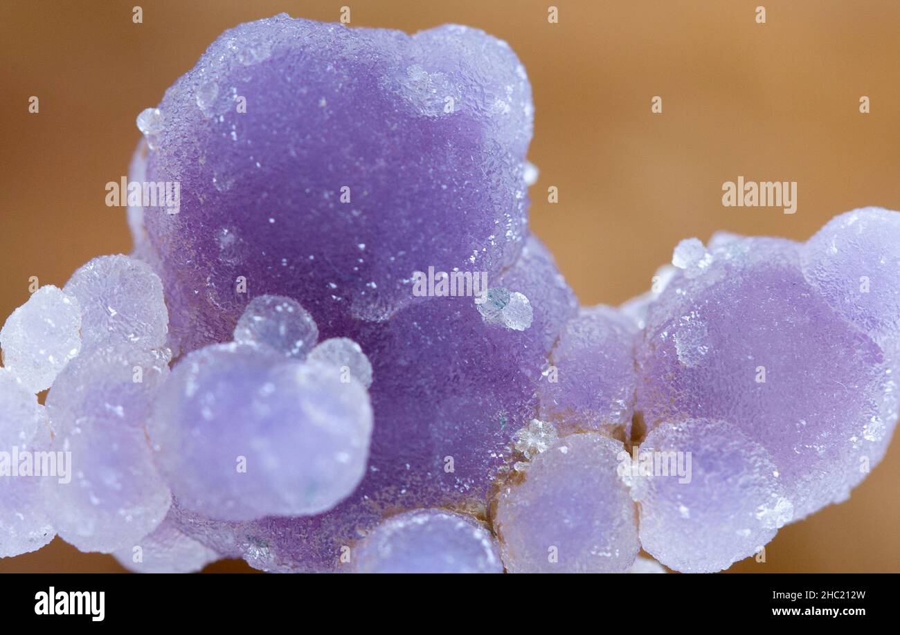 grape agate mineral specimen stone rock geology gem crystal Stock Photo ...