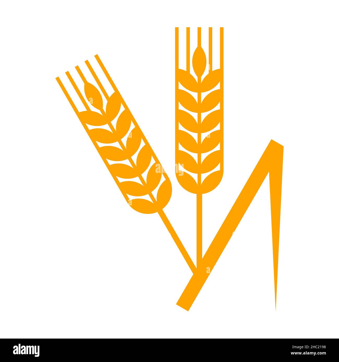 Sheaf of wheat isolated on white background Stock Photo - Alamy