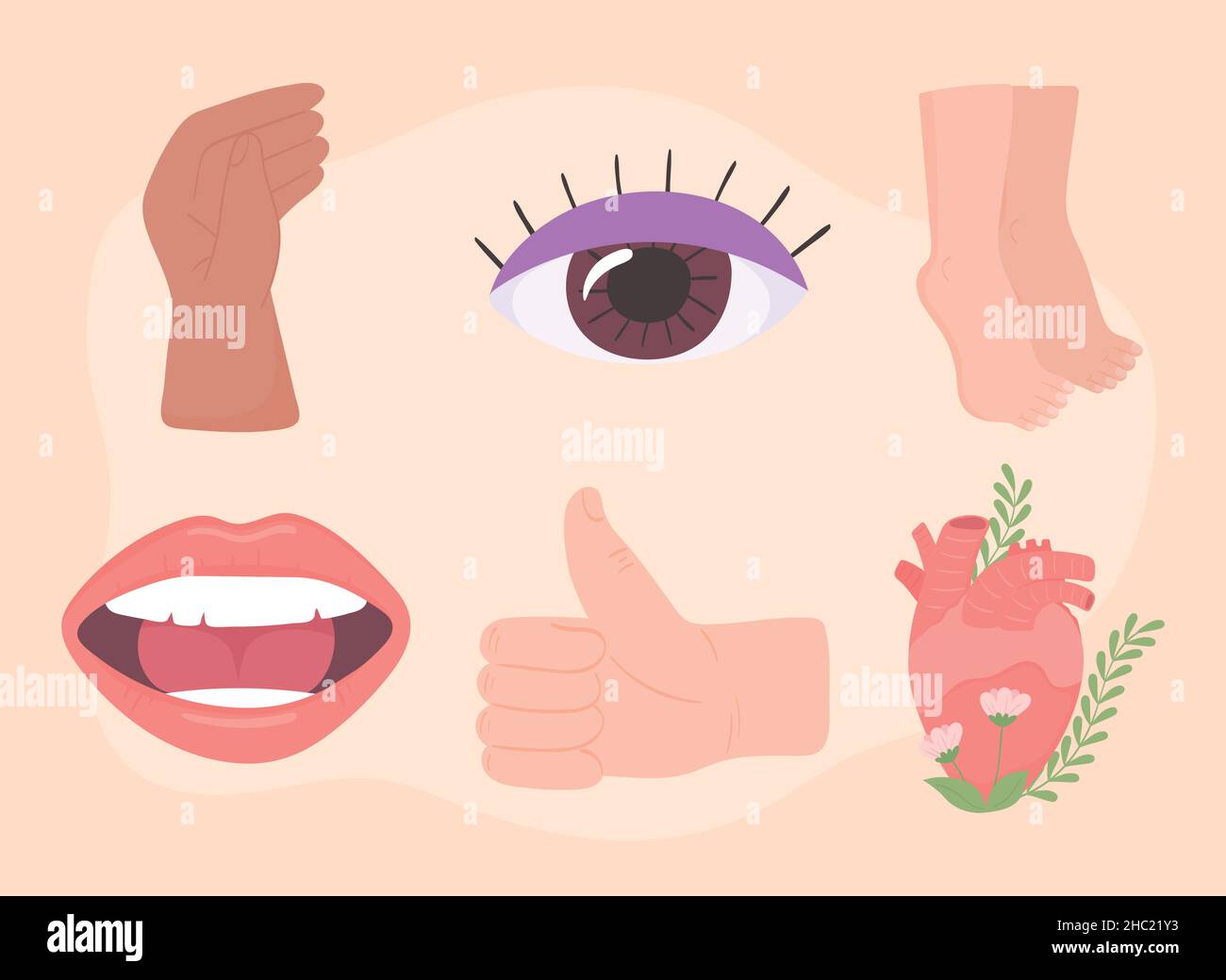 set human body parts Stock Vector Image & Art - Alamy