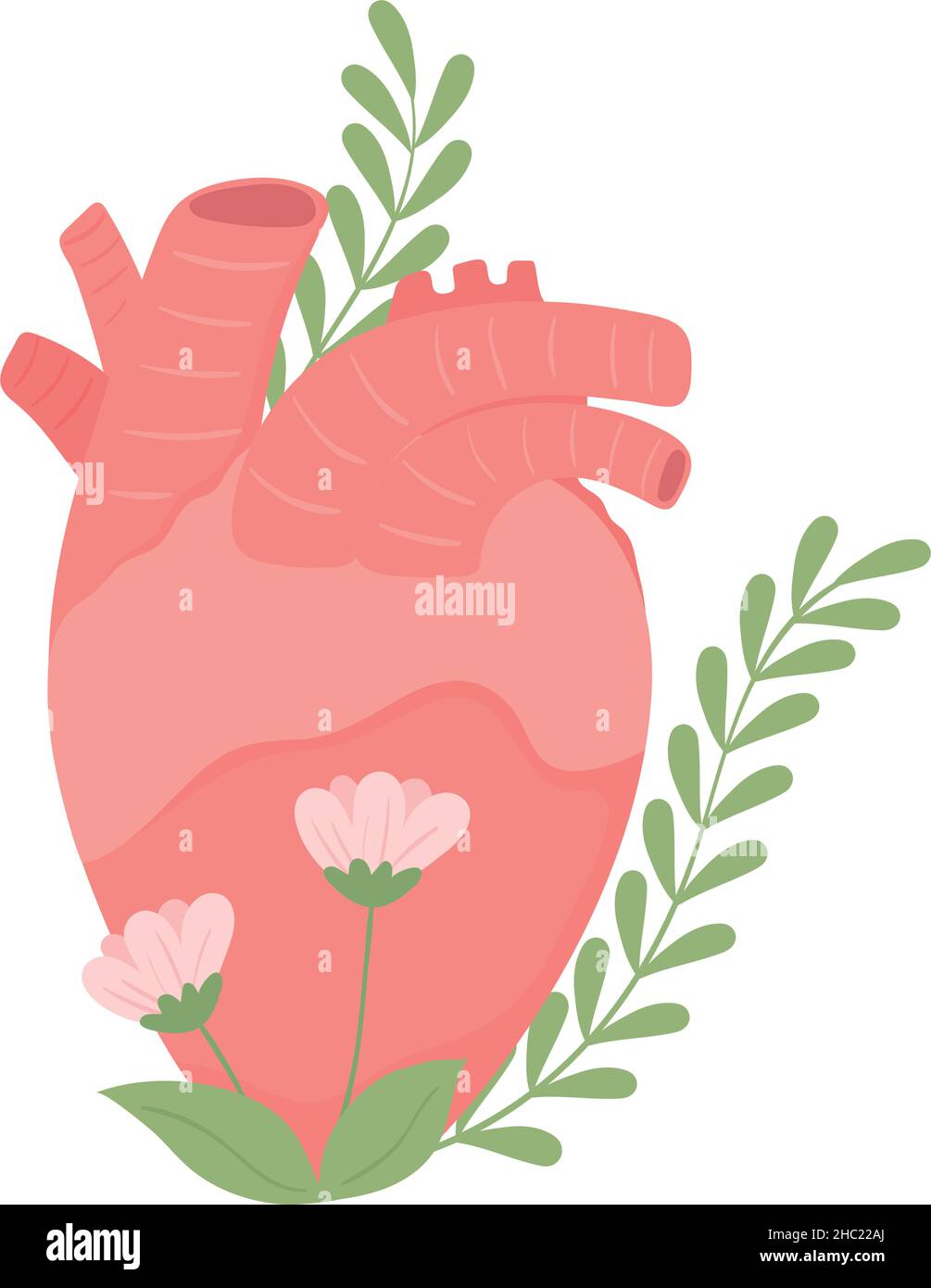human body part heart Stock Vector Image & Art - Alamy