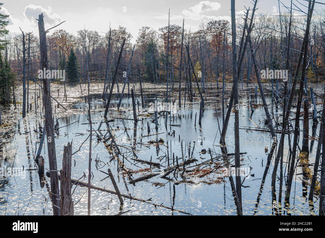 Muskoka region hi-res stock photography and images - Alamy